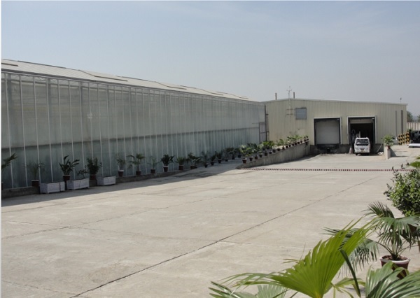 | PMAS-Arid Agriculture University Rawalpindi